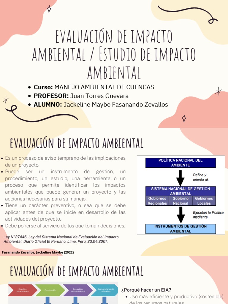 Evaluando el impacto ambiental de proyectos a través del proceso de Evaluación de Impacto ...