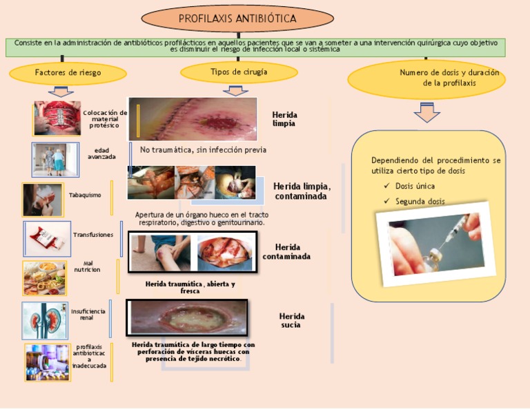 Profilaxis | PDF | Herida | Salud pública