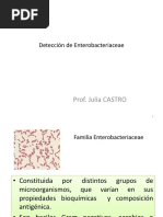 Citrobacter freundii: Características y Aislamiento | PDF | Las ...