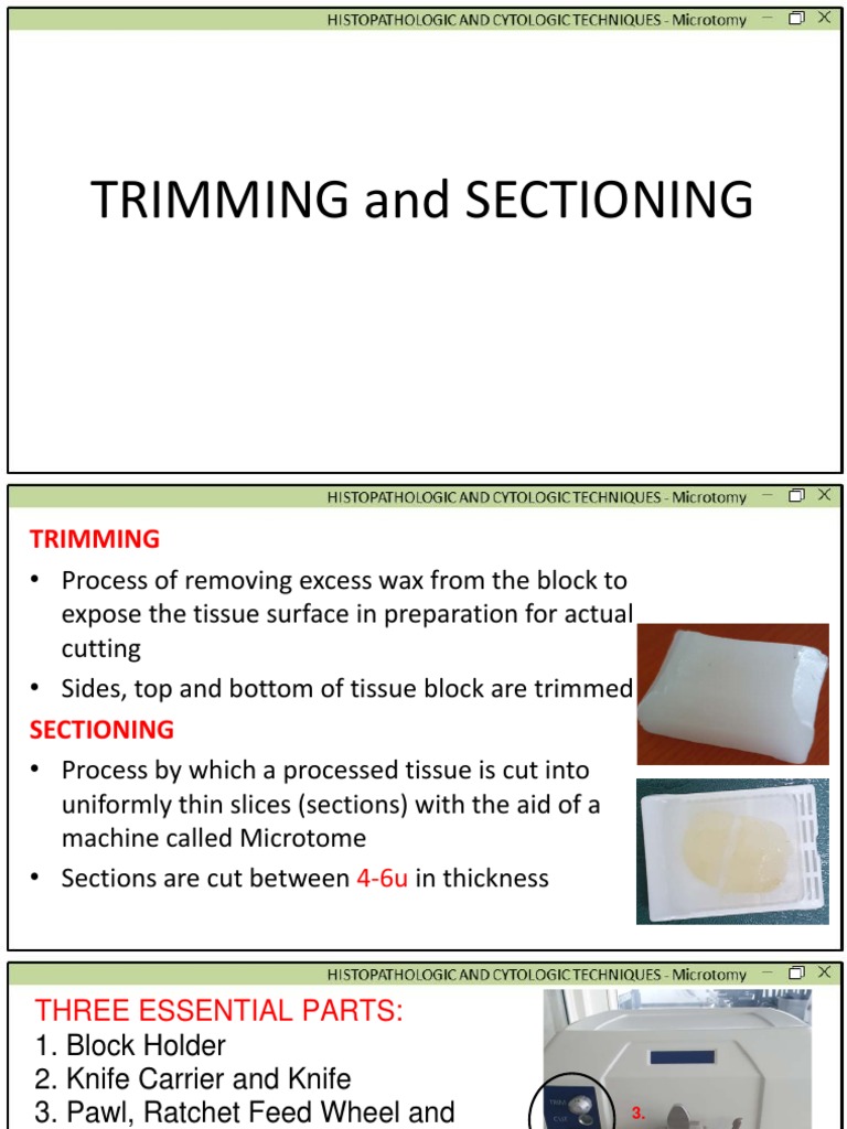 Trimming and Sectioning | PDF | Chemistry | Tools