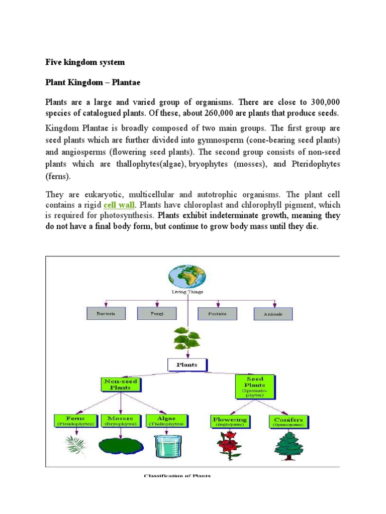 Overview of Plant and Animal Kingdoms | PDF