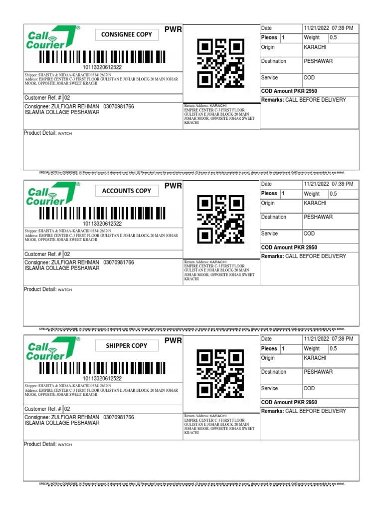 Consignee Copy: Karachi | PDF | Freight Transport | Supply Chain Management