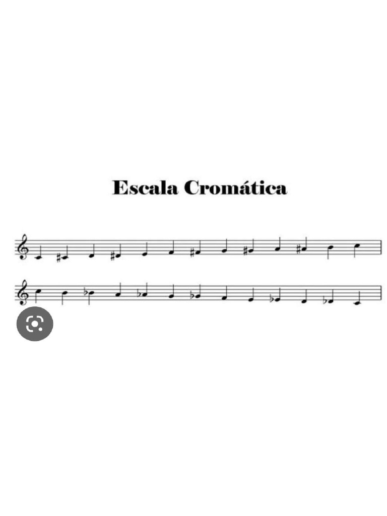 Img 20221116 222558 | PDF