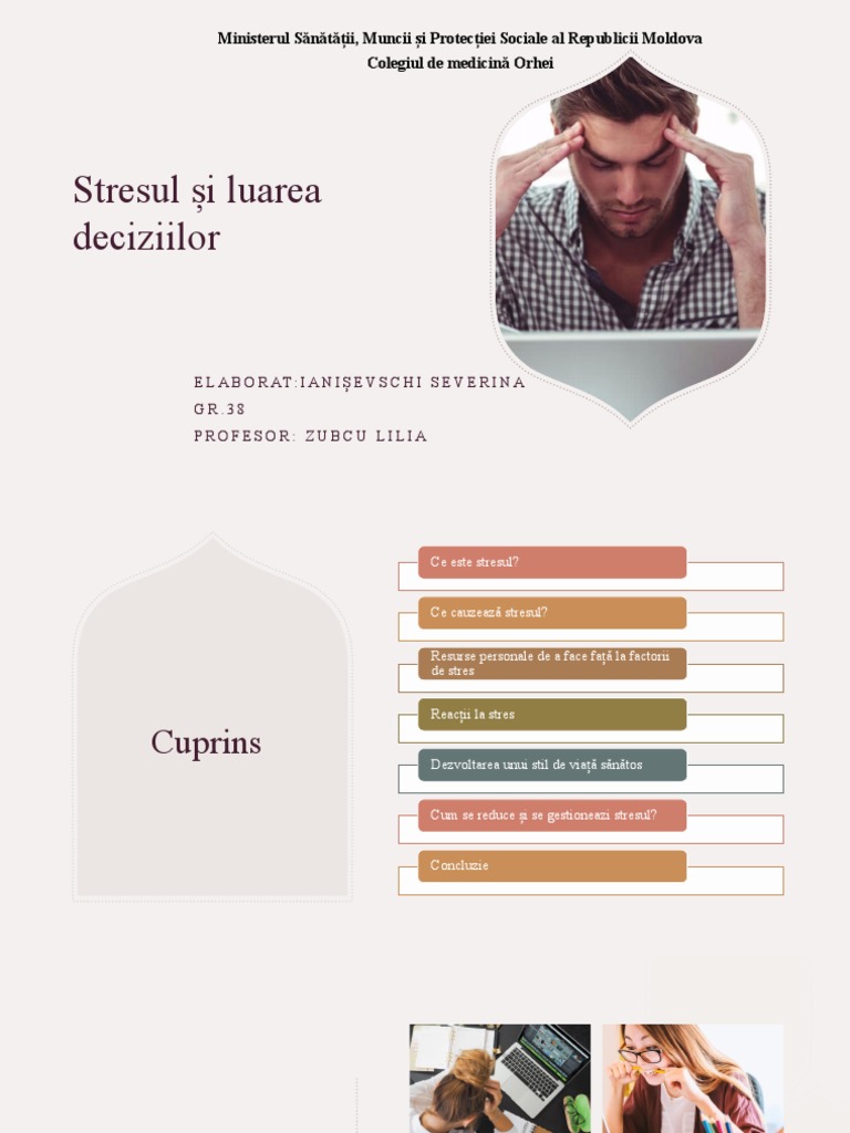 Stresul Și Luarea Deciziilor | PDF