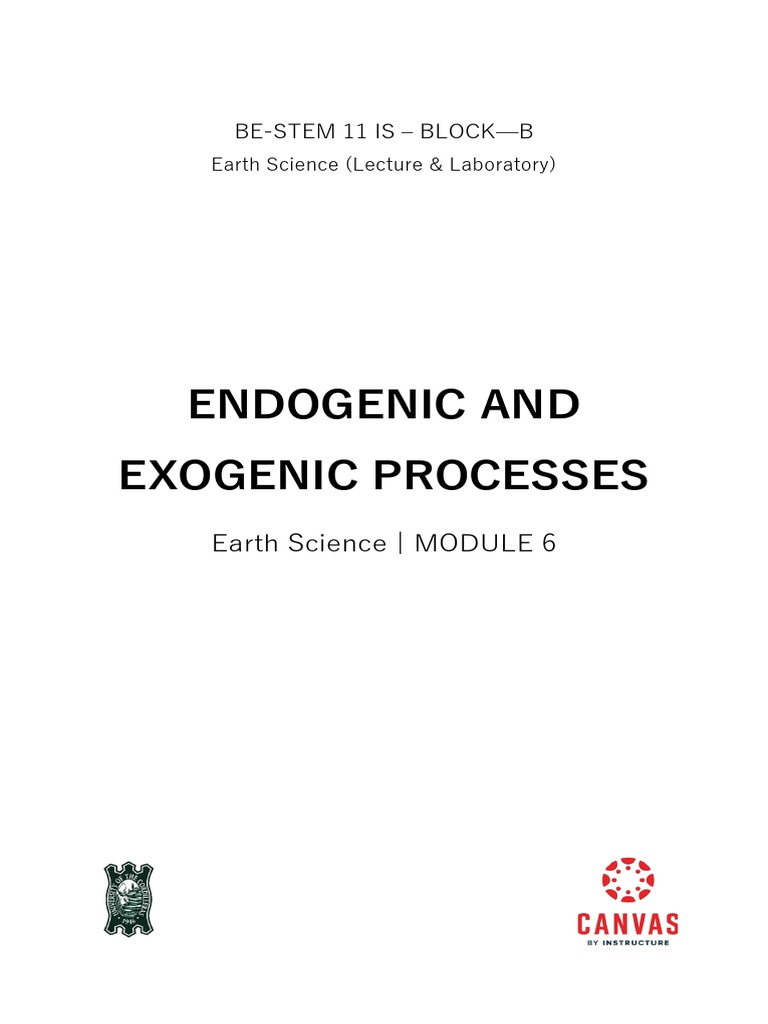 Endogenic and Exogenic Processes | PDF | Volcano | Earthquakes