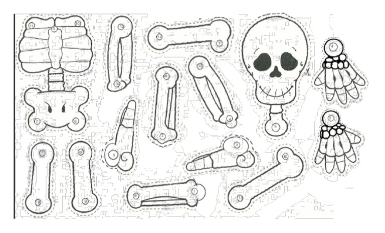 2° Básico - Esqueleto Armable Semana 6 | PDF