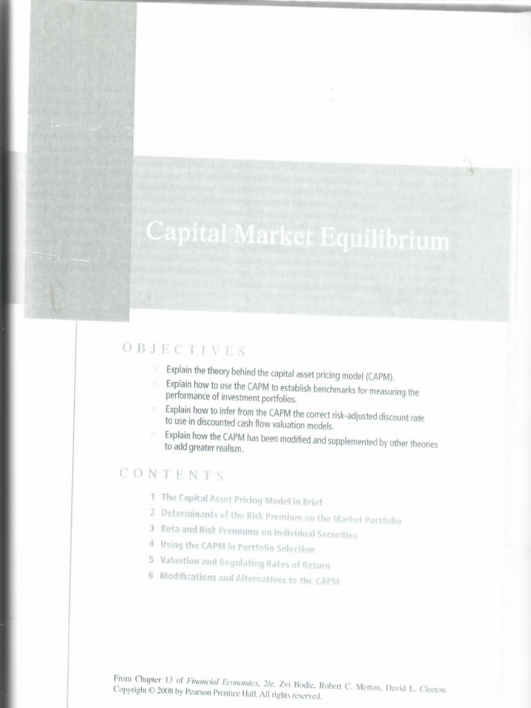 Capital Market Equilibrium. Prof. J. Abor - CAPM&APT | PDF