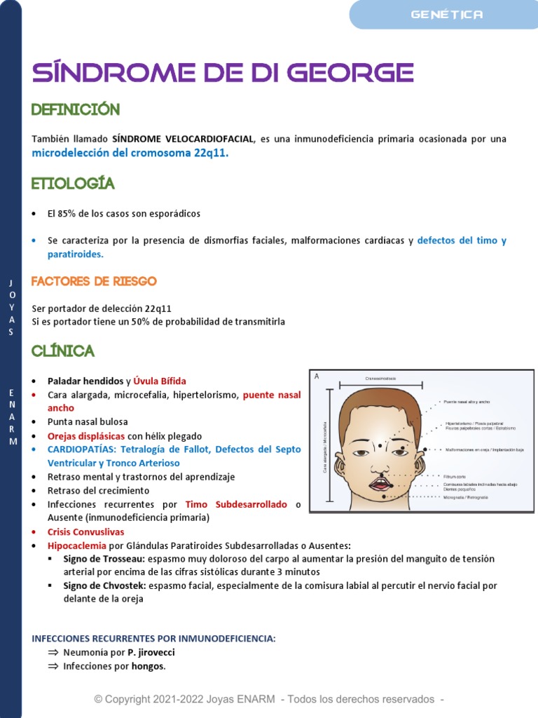 Síndrome de DiGeorge | PDF