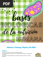 Omentos Mayor y Menor - Anatomía, Ubicación y Función - Kenhub | PDF ...