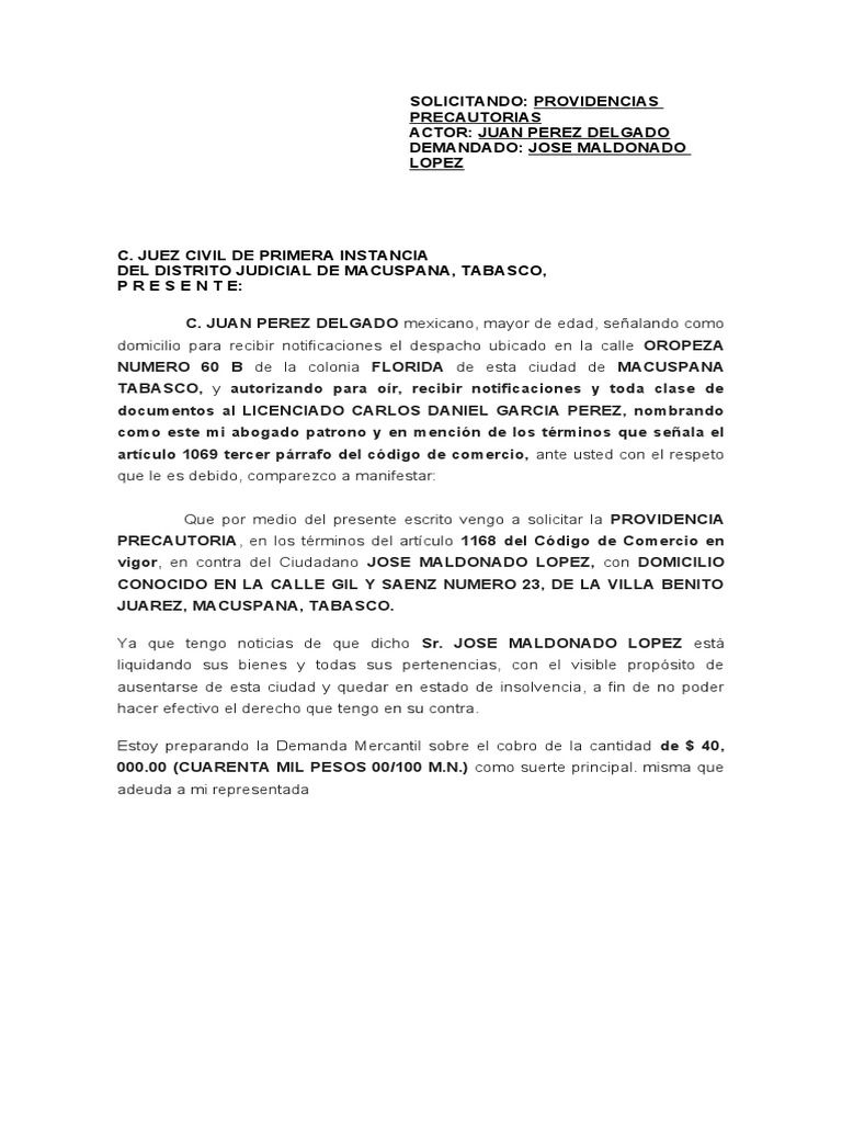 Solicitud de Providencia Precautoria | PDF | Derecho