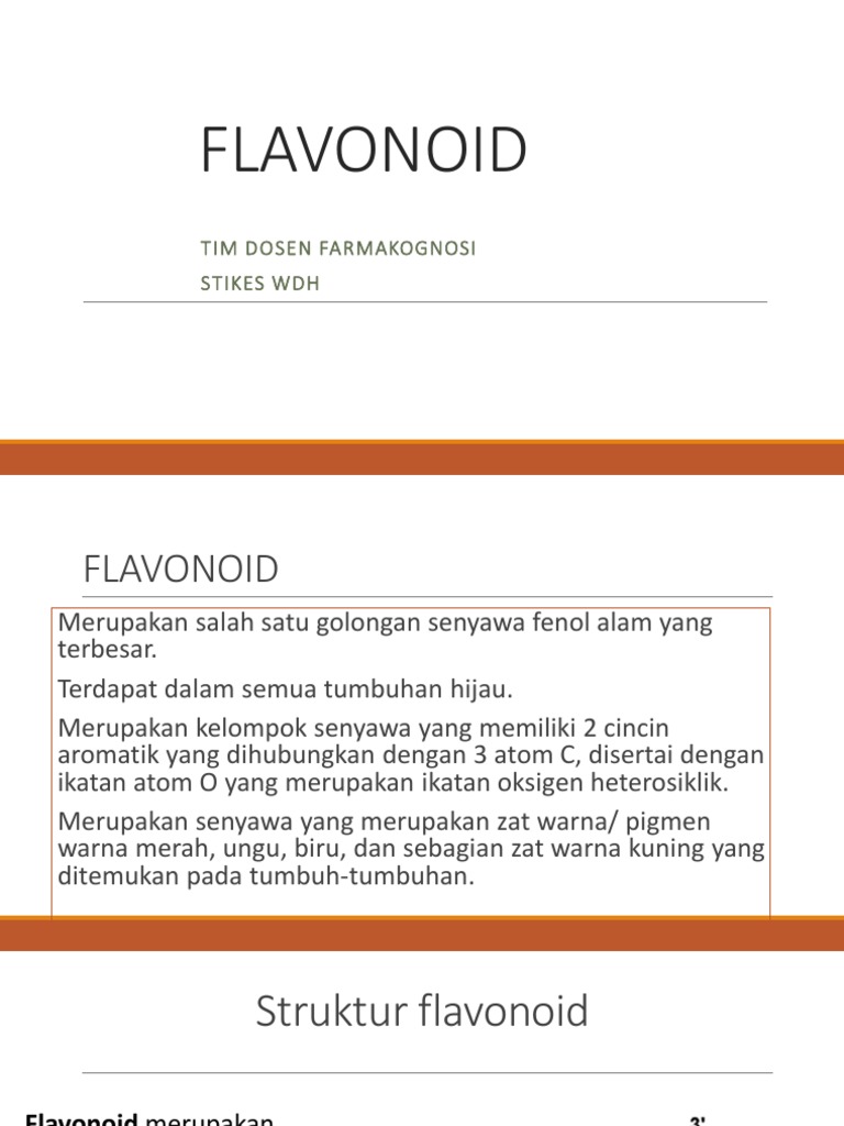 P10 PPT Flavonoid | PDF