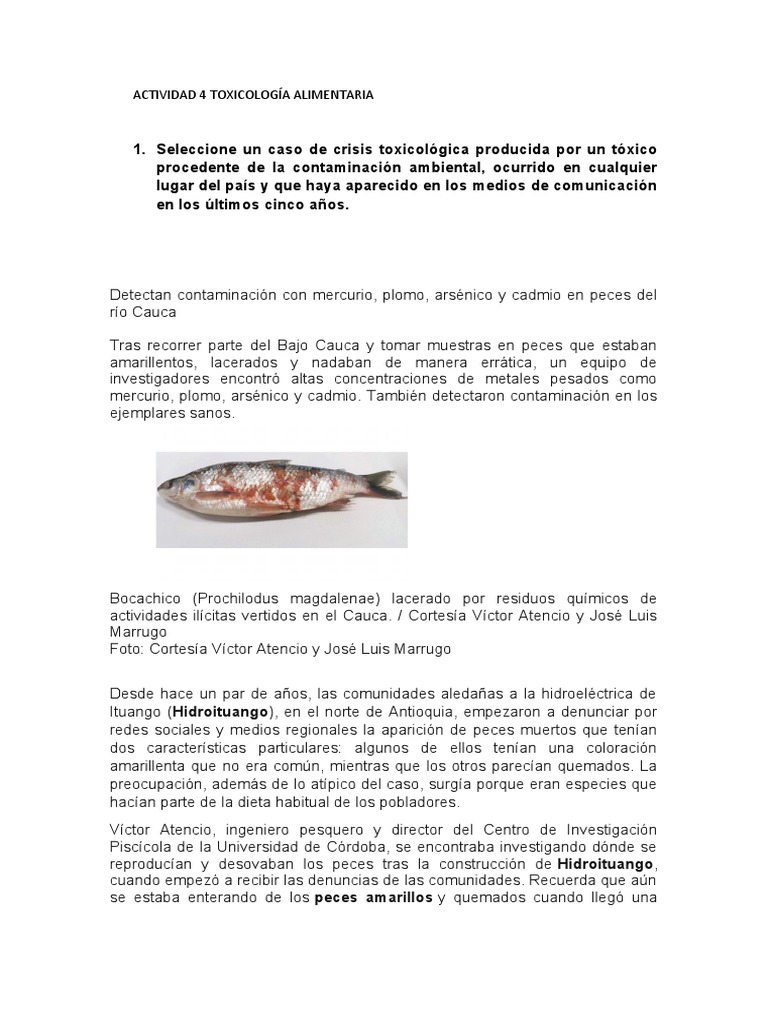 Act 4 | PDF | Mercurio (Elemento) | Cadmio