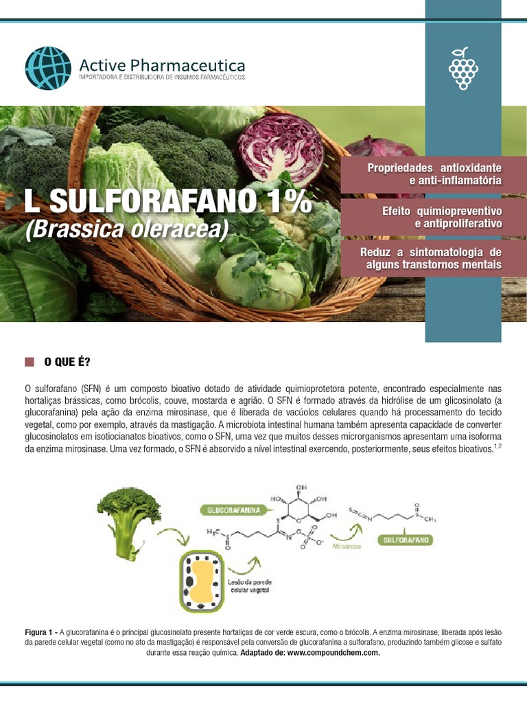 L Sulforafano 1%: (Brassica Oleracea) | PDF | Antioxidante | Inflamação