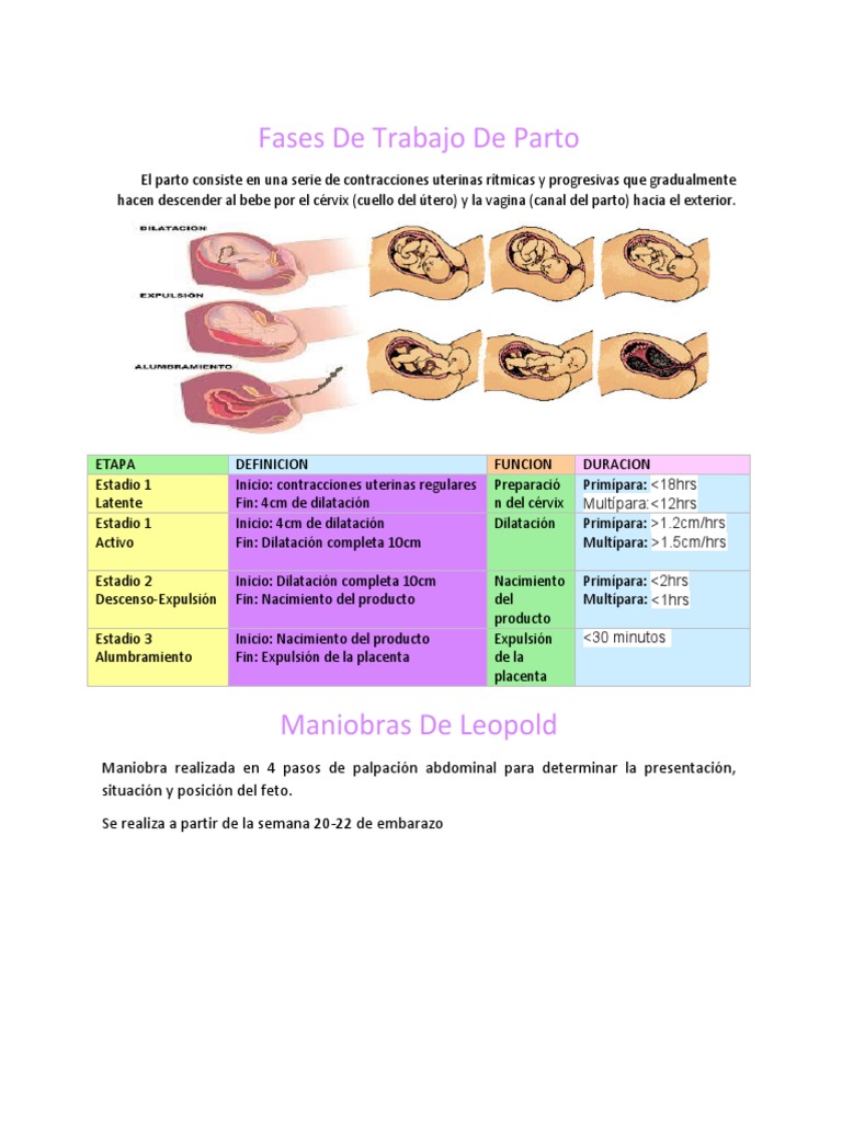 Fases de Trabajo de Parto | PDF