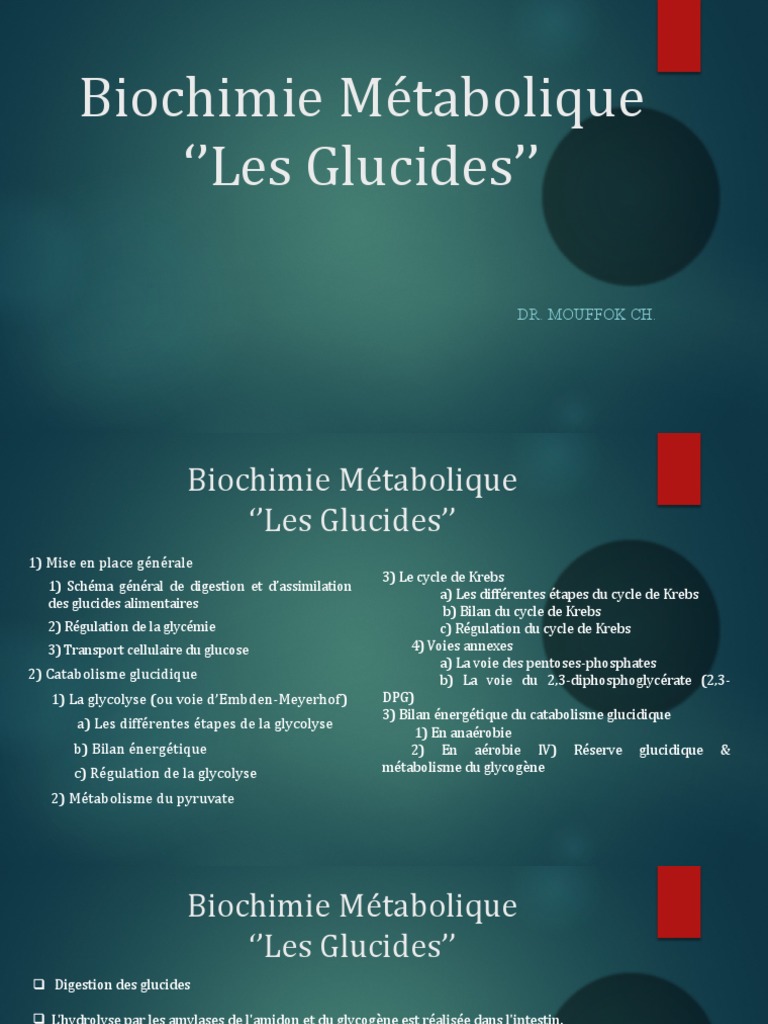 Biochimie Métabolique (Glucides) | PDF