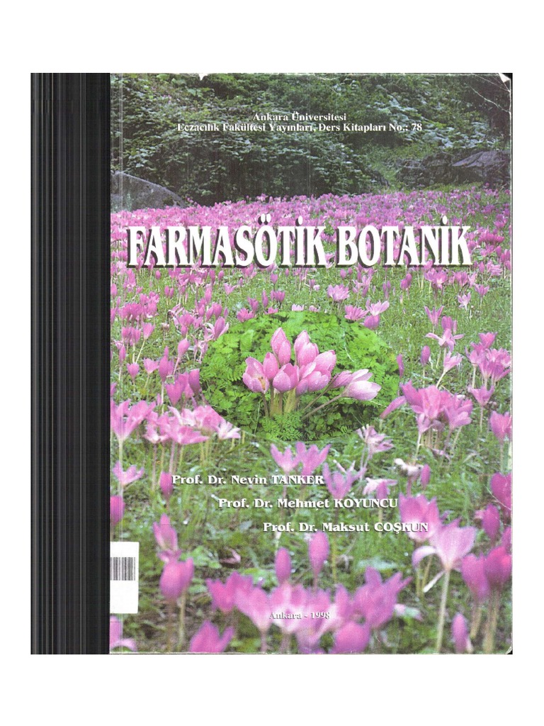 Farmasötik Botanik | PDF