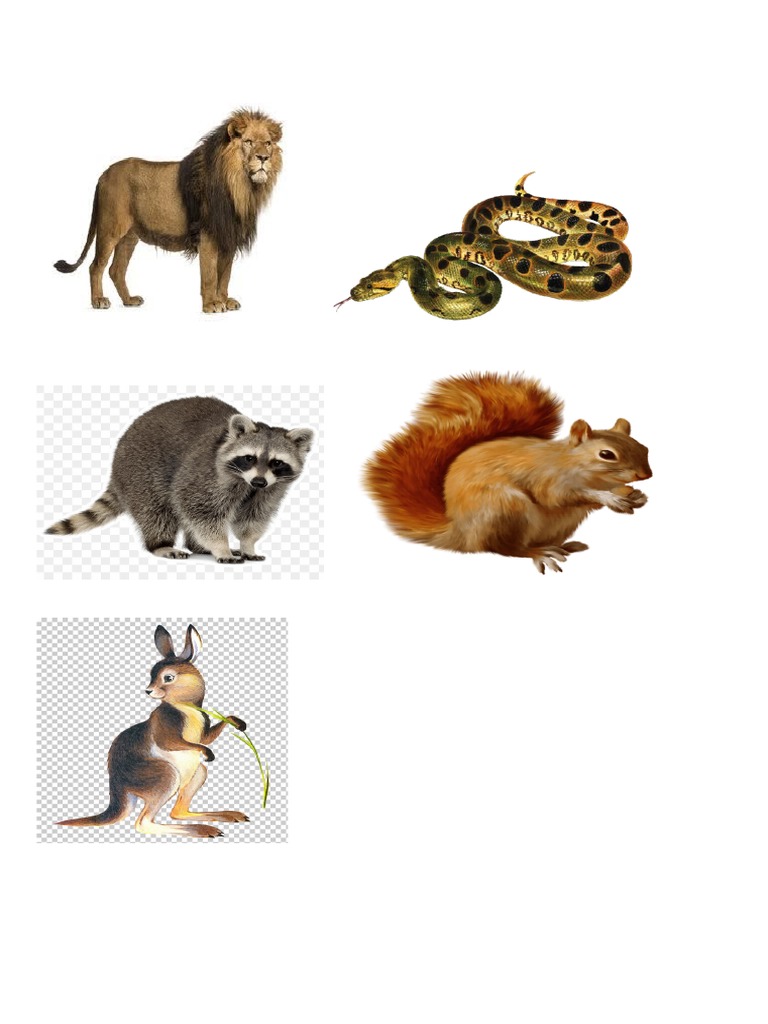 Animales Para Ecosistema Entrega 1 Pdf