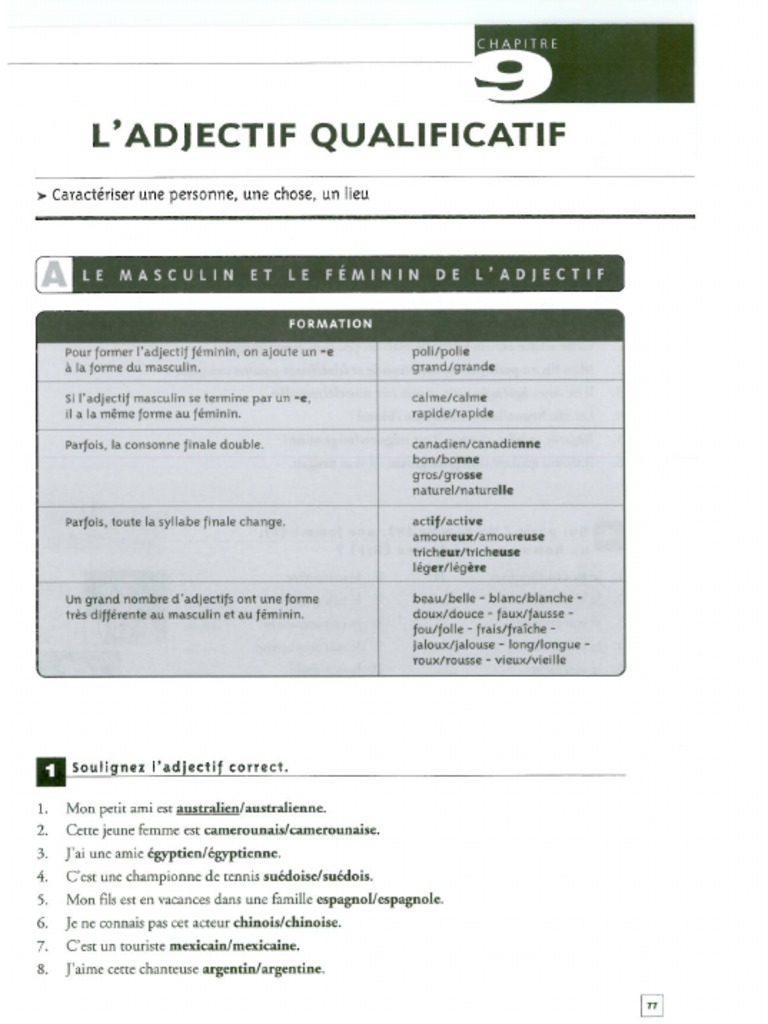 Grammaire - Les Adjectifs Qualificatifs | PDF