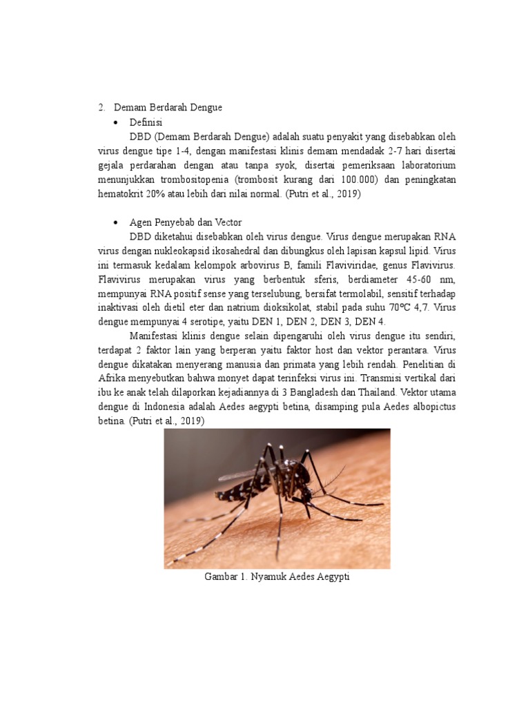 Demam Berdarah Dengue | PDF