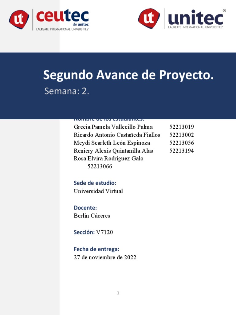 S2-Tarea 2.3 - Segundo Avance Del Proyecto 1.1 | PDF | Marketing ...