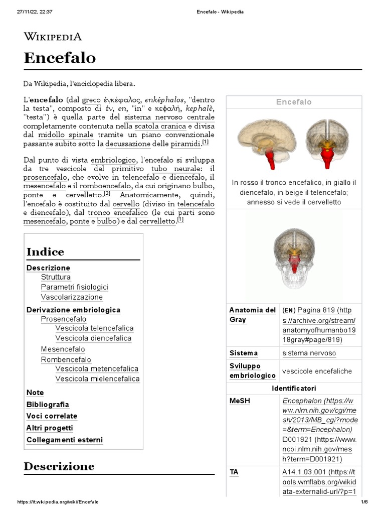 Encefalo - Wikipedia | PDF