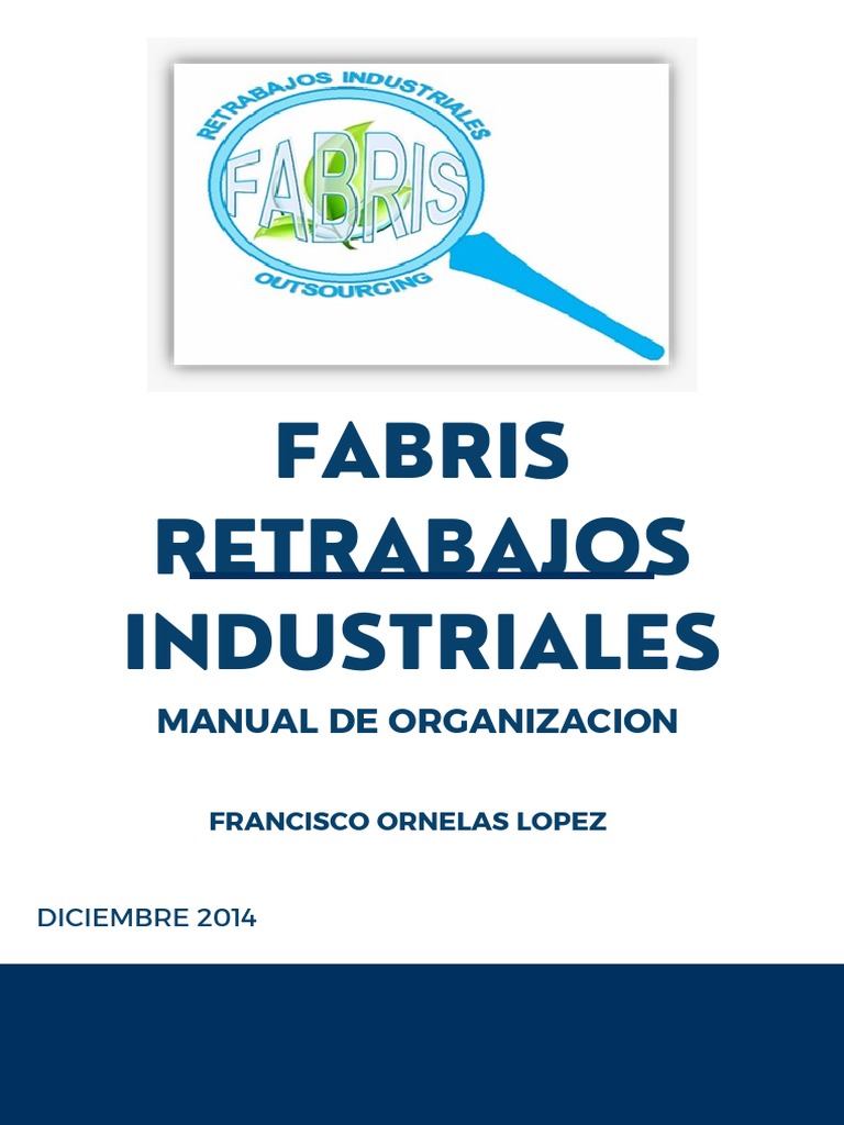 Manual Organizacion Fabris | PDF