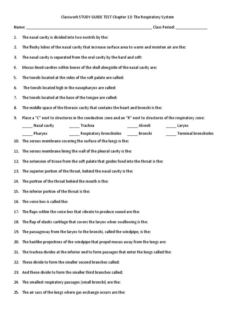 STUDY GUIDE Chapter 13 For CLASSWORK | PDF