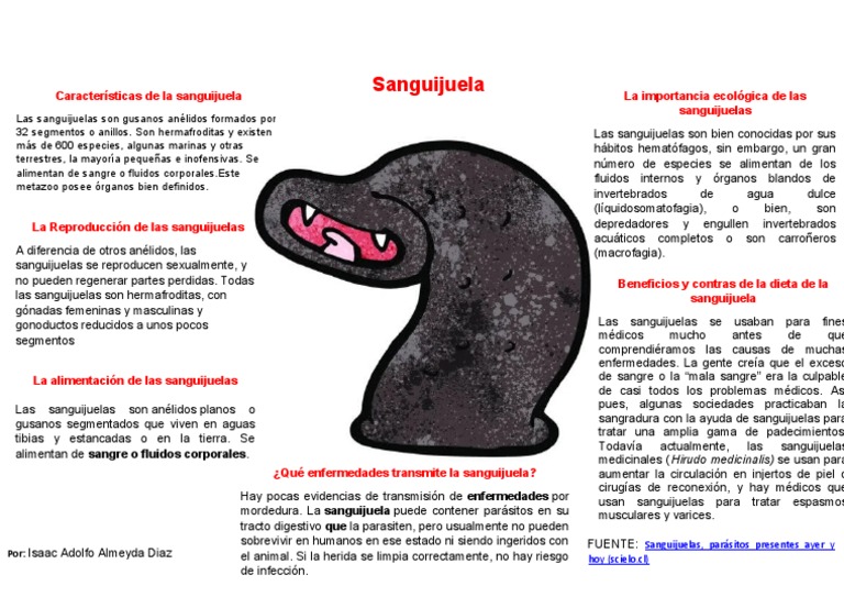 Sangujuela | PDF