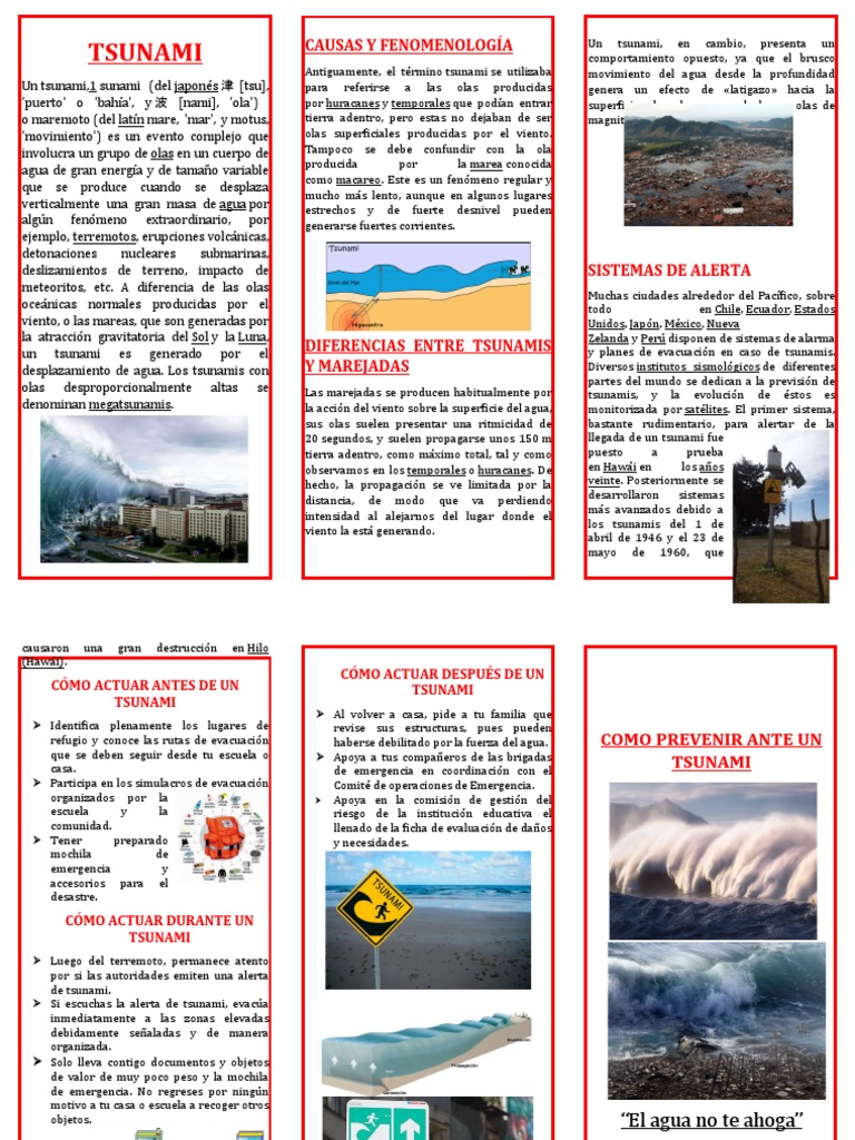Prevención y Actuación ante Tsunamis | PDF