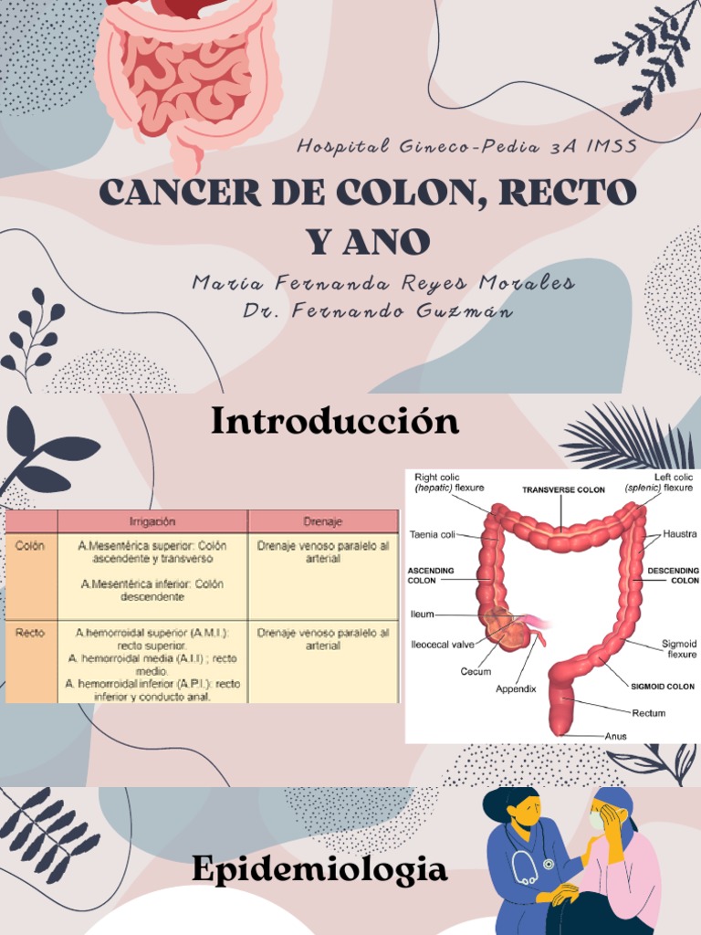 Cancer de Colon, Recto y Ano | PDF | Cáncer colonrectal | Gastroenterología