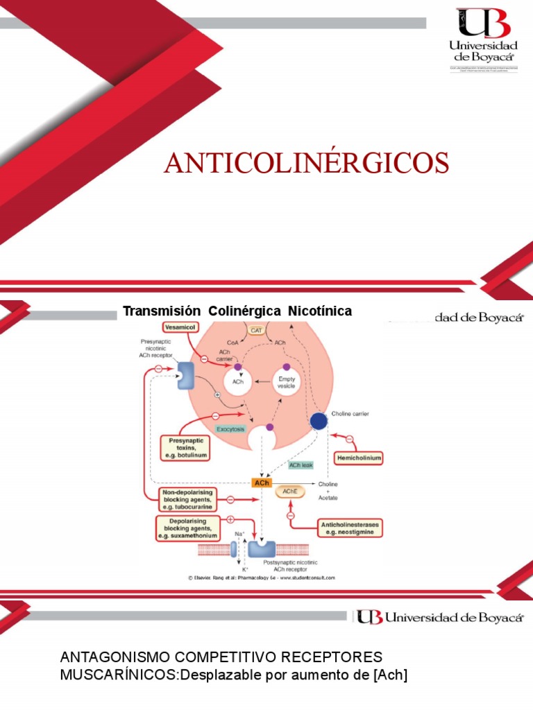 Anticolinergicos | PDF