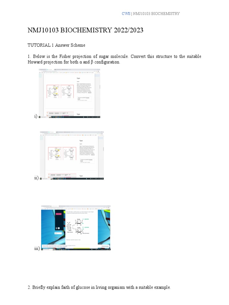 Tutorial 2 NMJ10103 Answer Scheme | PDF | Diet & Nutrition | Chemistry