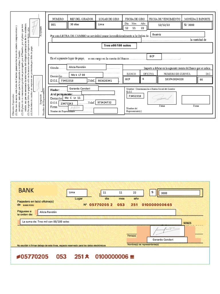 Modelo de Titulos Valores | PDF