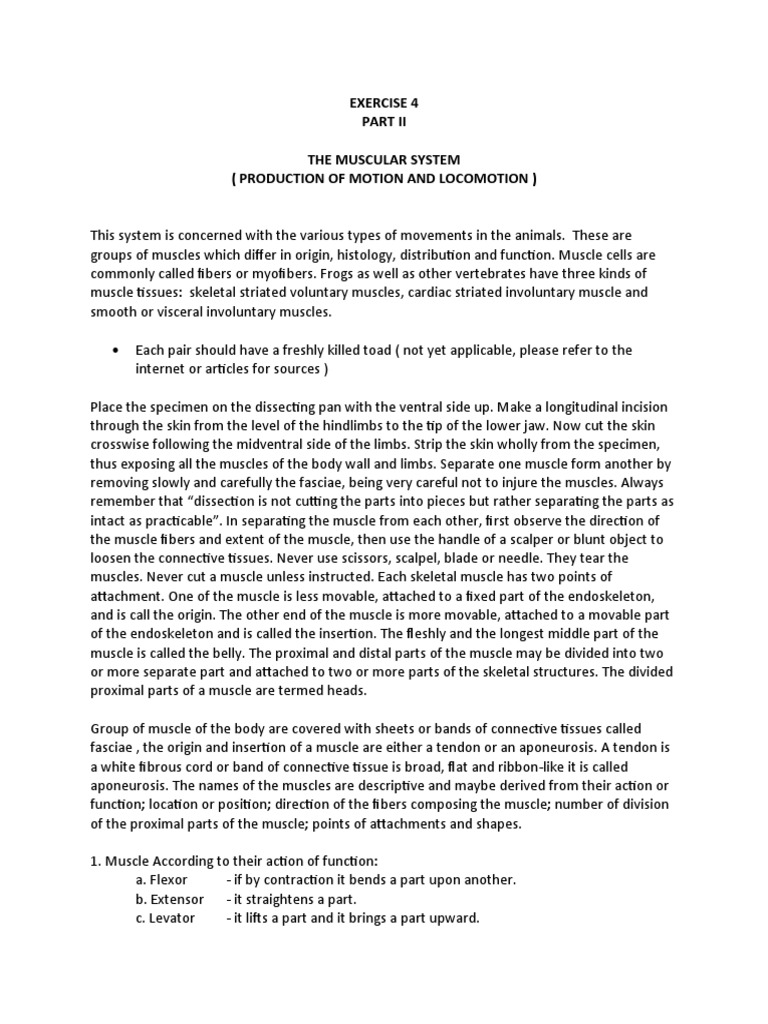 Exercise 4 Part Ii Pdf Human Leg Foot