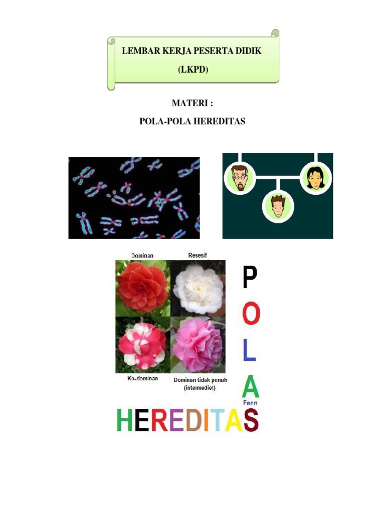 LKPD Pola Hereditas Fiks | PDF