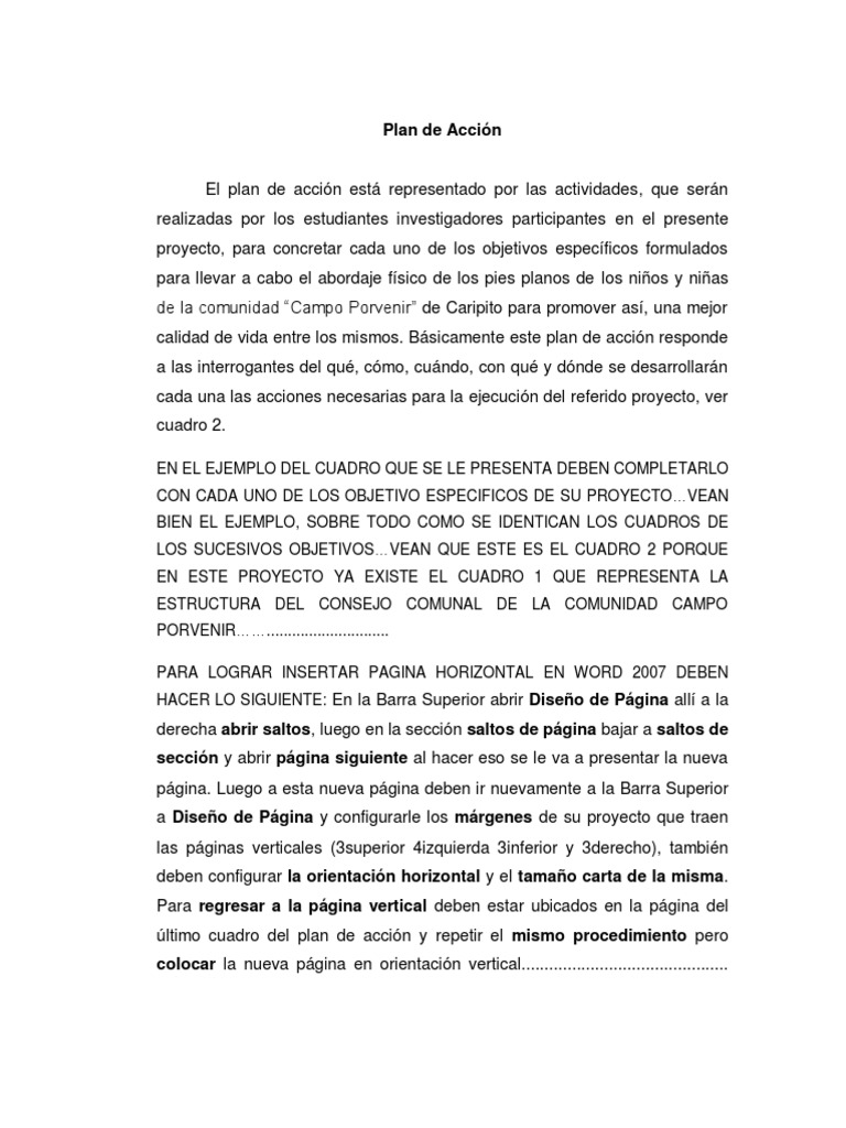 EJEMPLO Plan de Acción | PDF