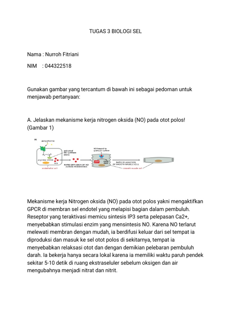 Biologi Sel | PDF