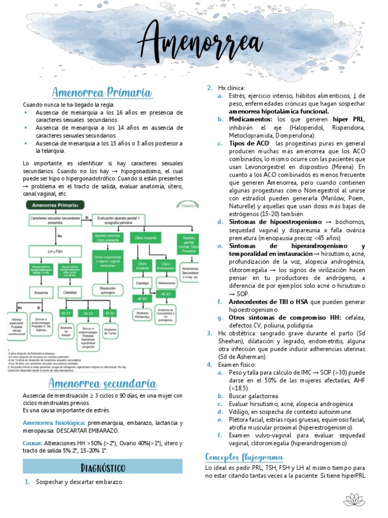 Amenorrea | PDF | Menstruación | El embarazo