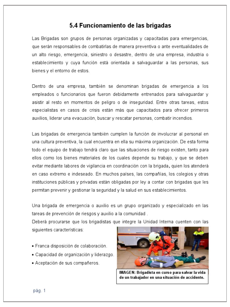 Funciones de las Brigadas de Emergencia | PDF | Defensa Civil ...
