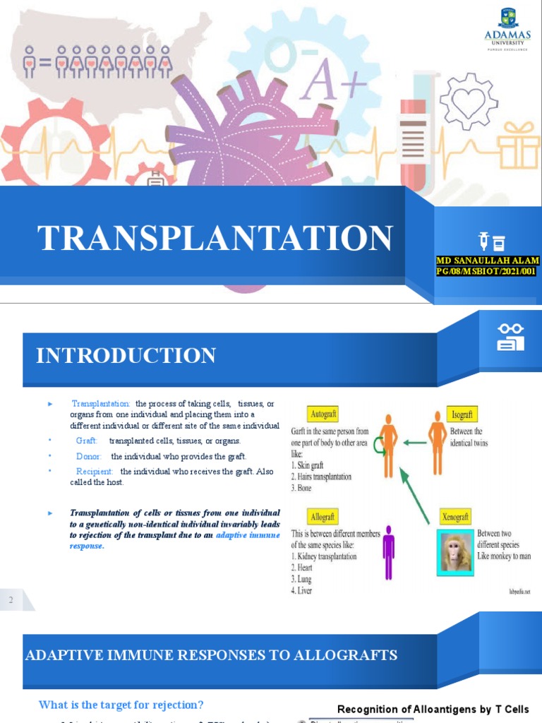 Transplantation | PDF | Transplant Rejection | Major Histocompatibility Complex
