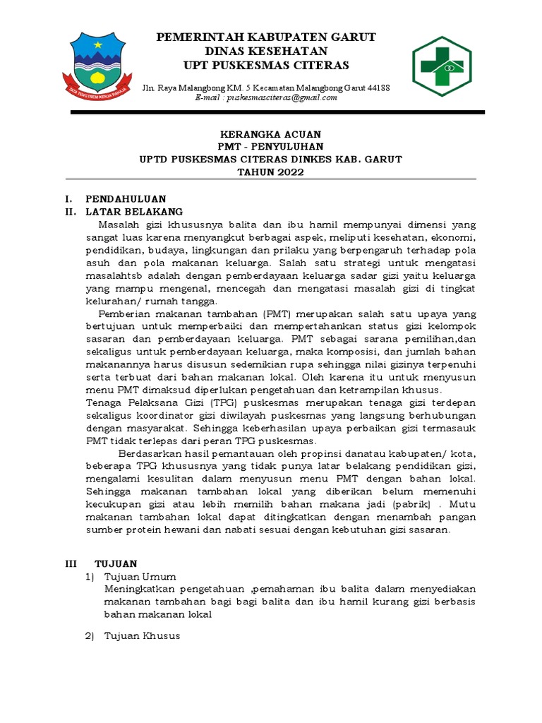 PMT Penyuluhan | PDF