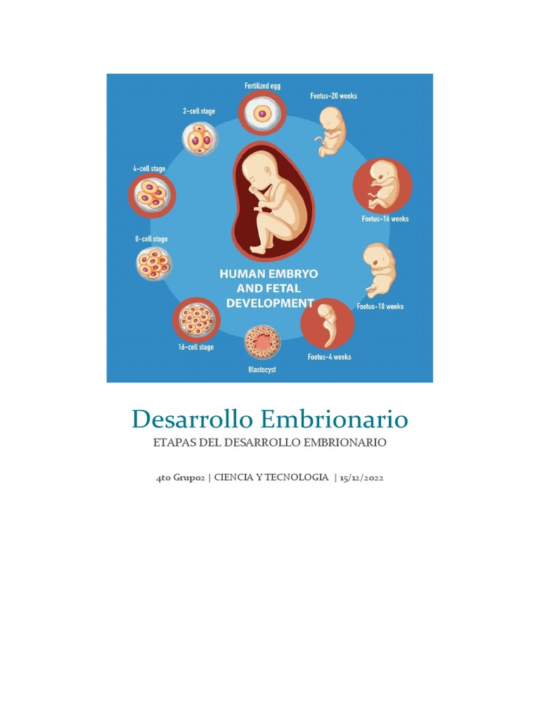 Desarrollo Embrionario | PDF | Embrión | Placenta
