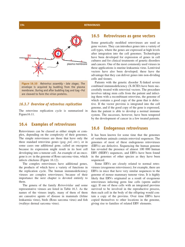 Retrovirus As Vector | PDF | Retrovirus | Viral Vector