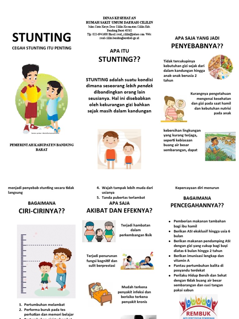 Leaflet Stunting | PDF