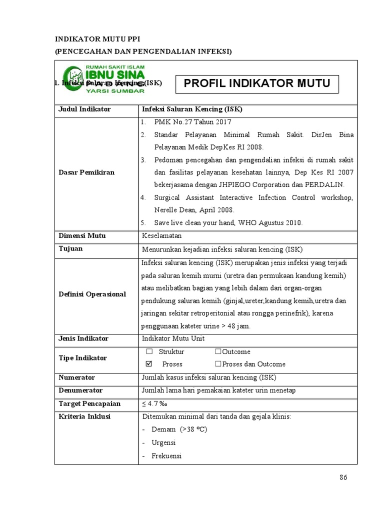 4 Profil Indikator Mutu Pemenuhan Snars-Ppi | PDF | Sains & Matematika