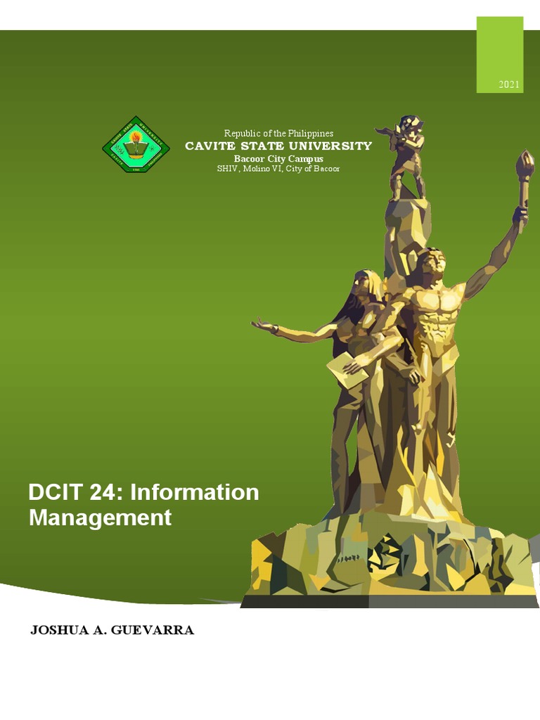 Information Management Course Overview | PDF
