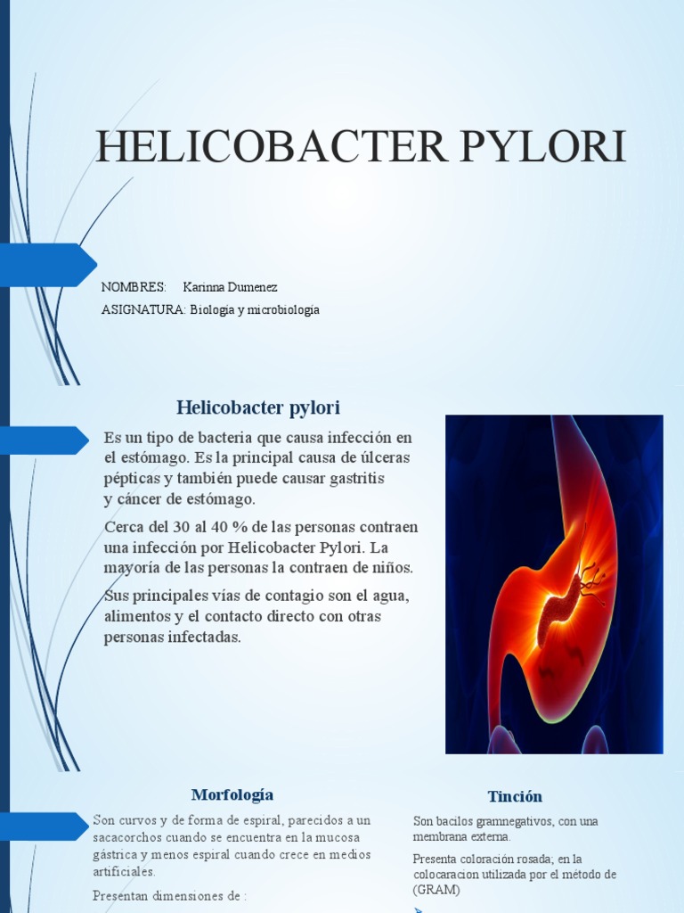 Helicobacter Pylori | PDF | Medicina CLINICA | Especialidades Medicas