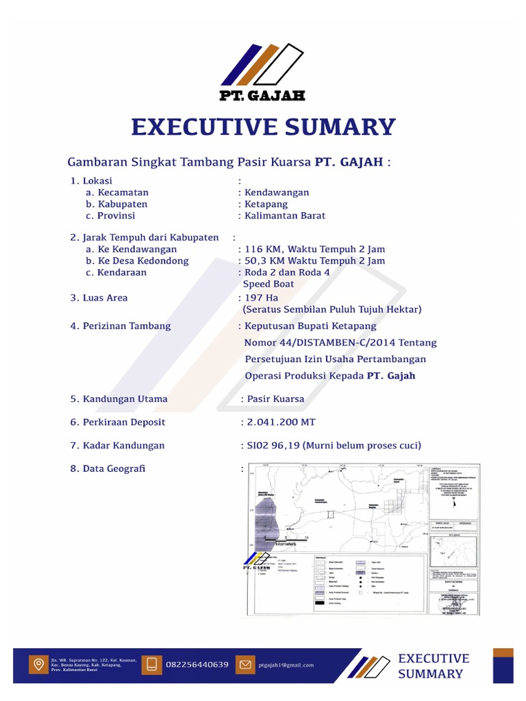 Executive Sumary | PDF