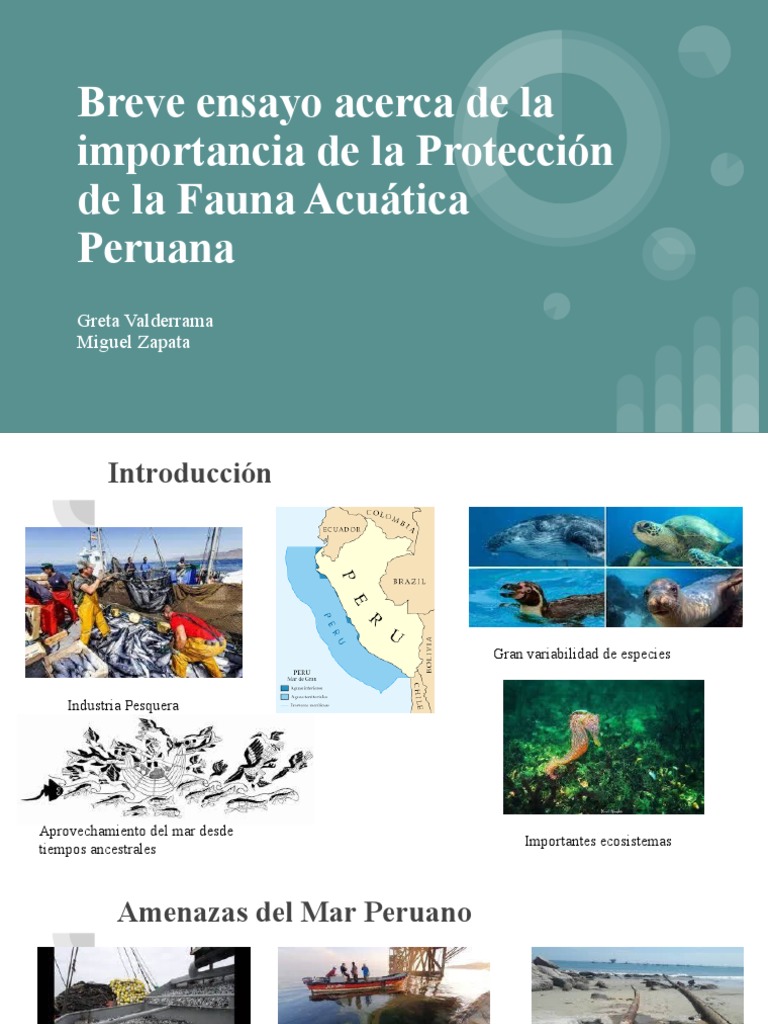 Fauna Acuatica | PDF | Fauna | Biodiversidad