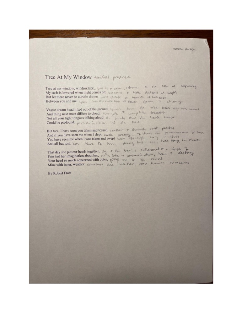 Tree at My Window | PDF